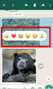 Everything You Need to Know About WhatsApp Message Reactions